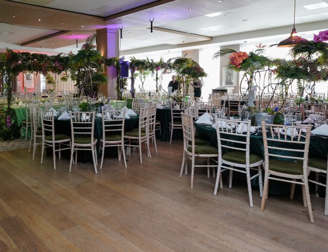 Jungle Paradise Theme Tree Canopy - Eventologists