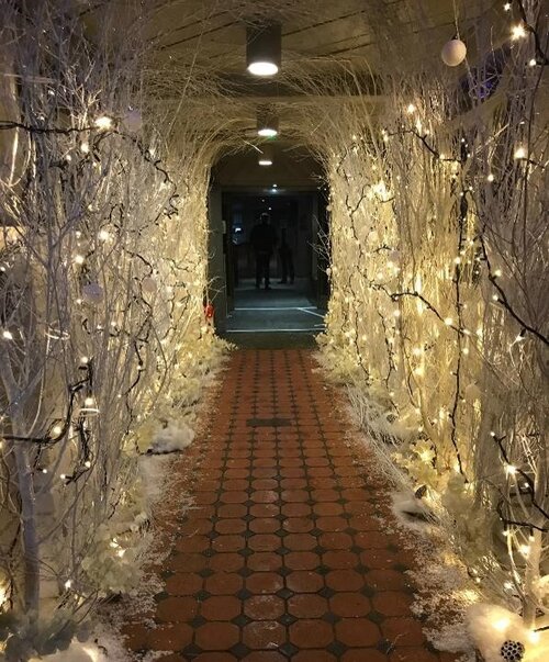 Après Ski Themed Party | Eventologists Event Planners