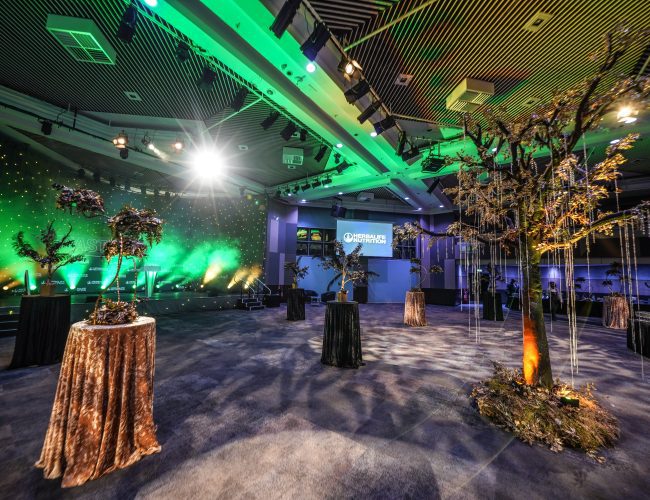 Boujee Disco Theme Event - Eventologists