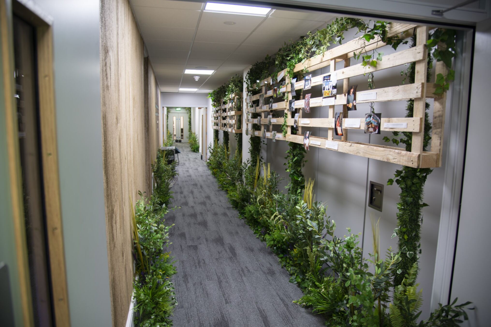 Green Sustainable Event Theme | Eventologists