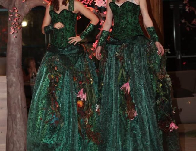 Midsummer Night's Dream Themed Party | Eventologists