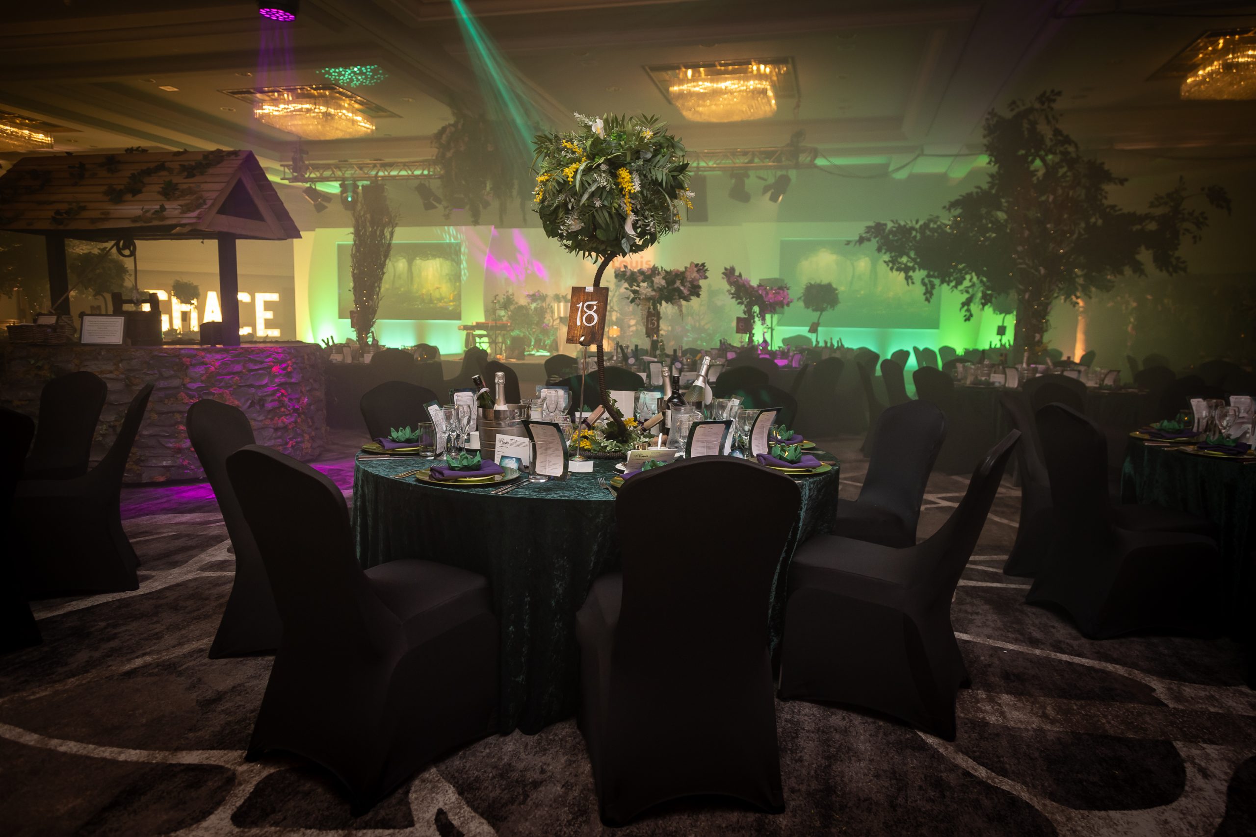 Midsummer Night's Dream Themed Party | Eventologists