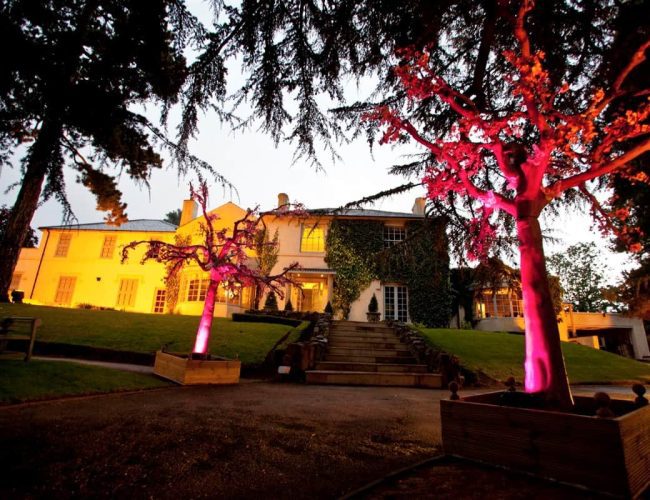 Midsummer Night's Dream Themed Party | Eventologists