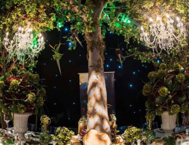 Midsummer Night's Dream Themed Party | Eventologists
