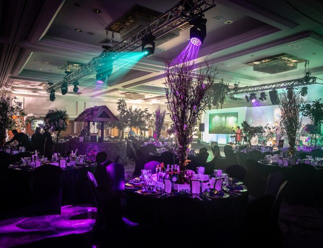 Midsummer Night's Dream Themed Party | Eventologists