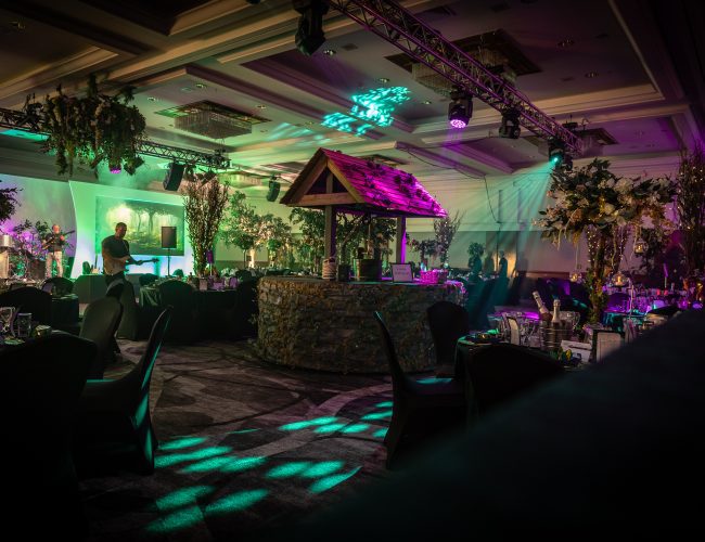 Midsummer Night's Dream Themed Party | Eventologists