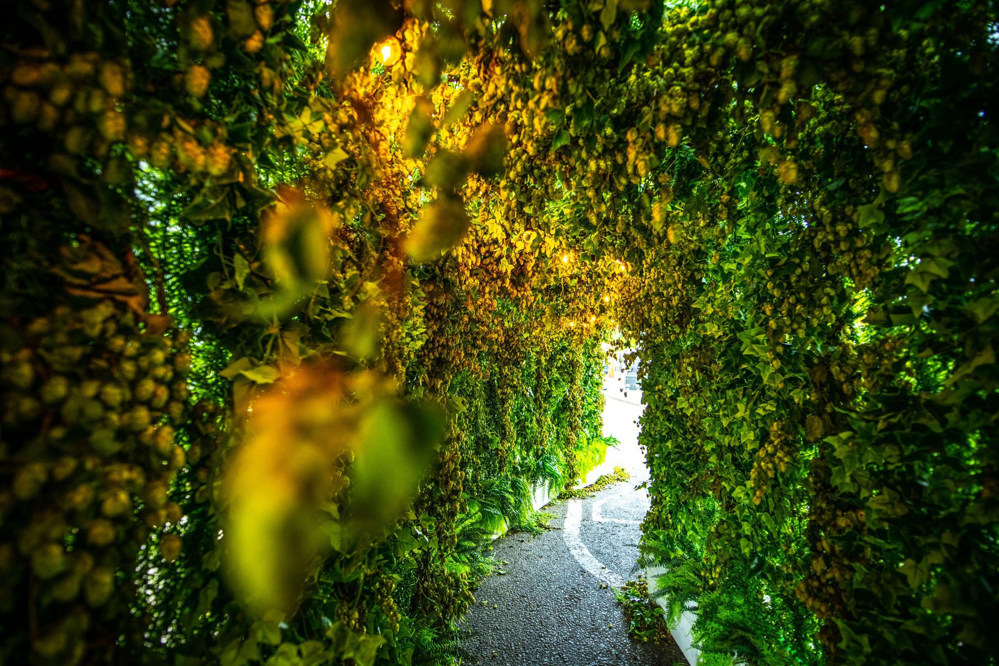How To Decorate For A Sustainable Corporate Event - Eventologists