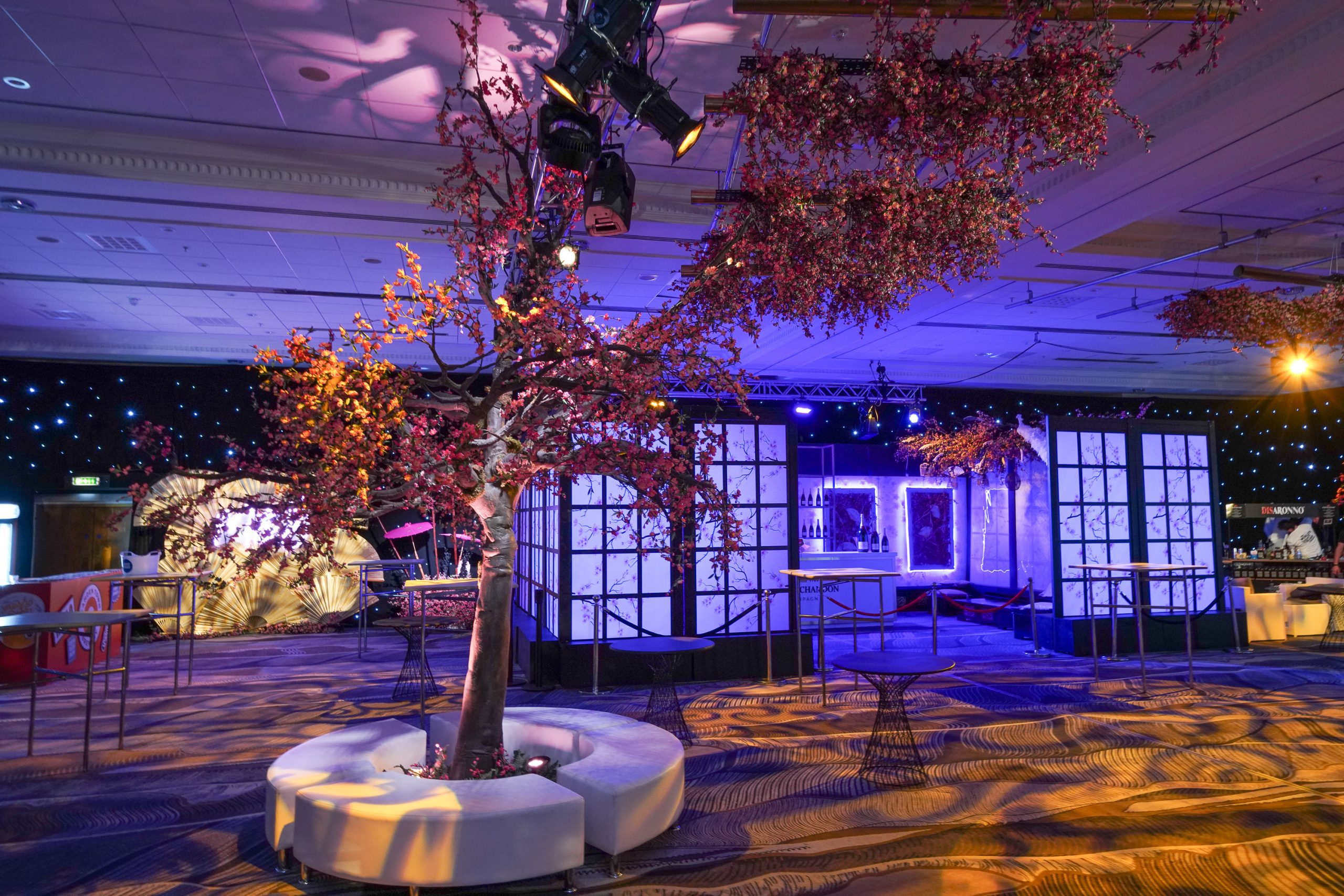 Oriental Themed Party | Eventologists