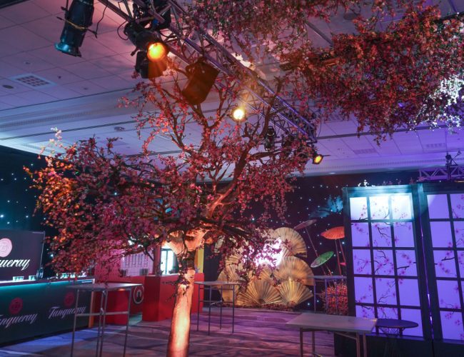 Oriental Themed Party | Eventologists
