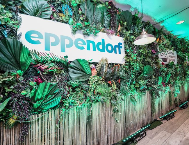 Themed Living Wall - Eventologists