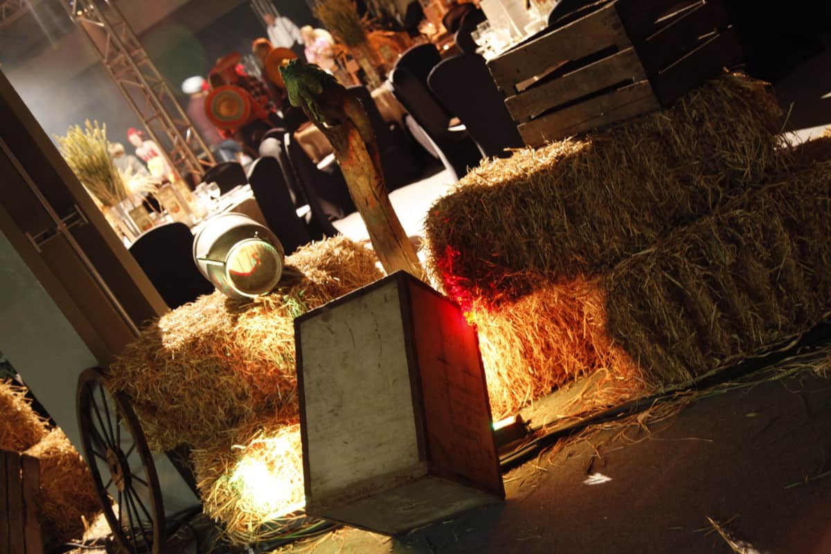 Wild West Themed Party | Eventologists