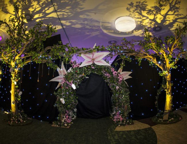 Oak Tree - Eventologists