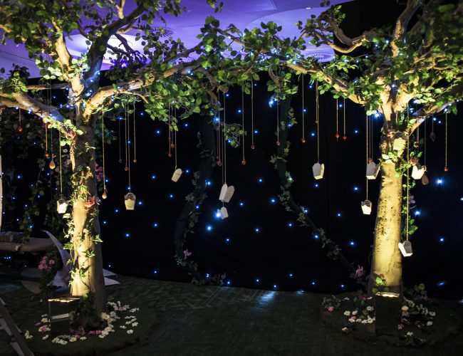 Oak Tree - Eventologists