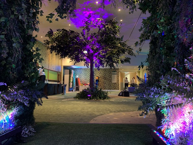 Oak Tree - Eventologists