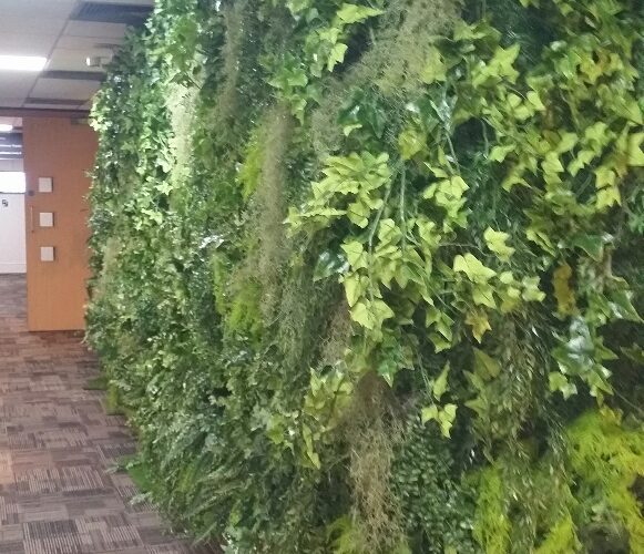 Grass Living Wall - Eventologists