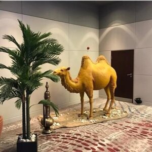 Palm Tree - Eventologists