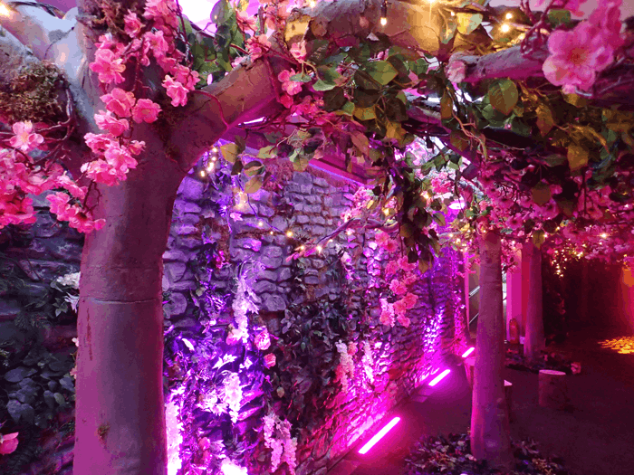 Spring Themed Party | Eventologists