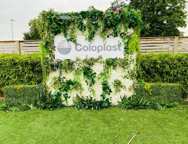 Seasonal Backdrops - Eventologists