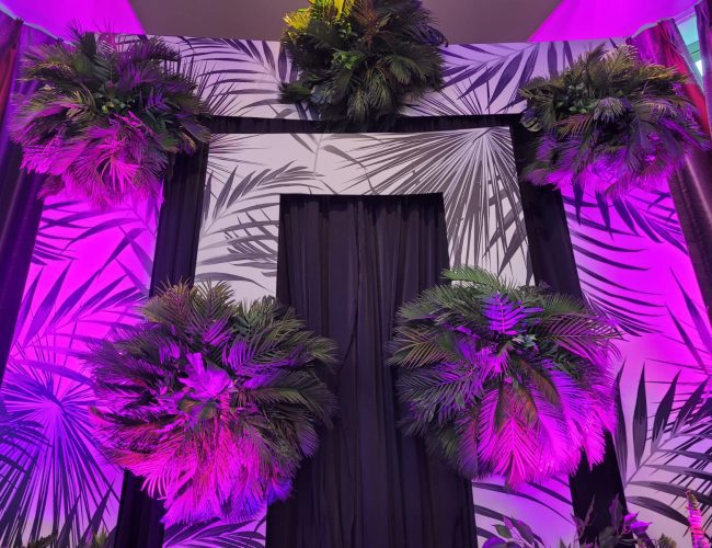 Glam Themed Backdrop - Eventologists